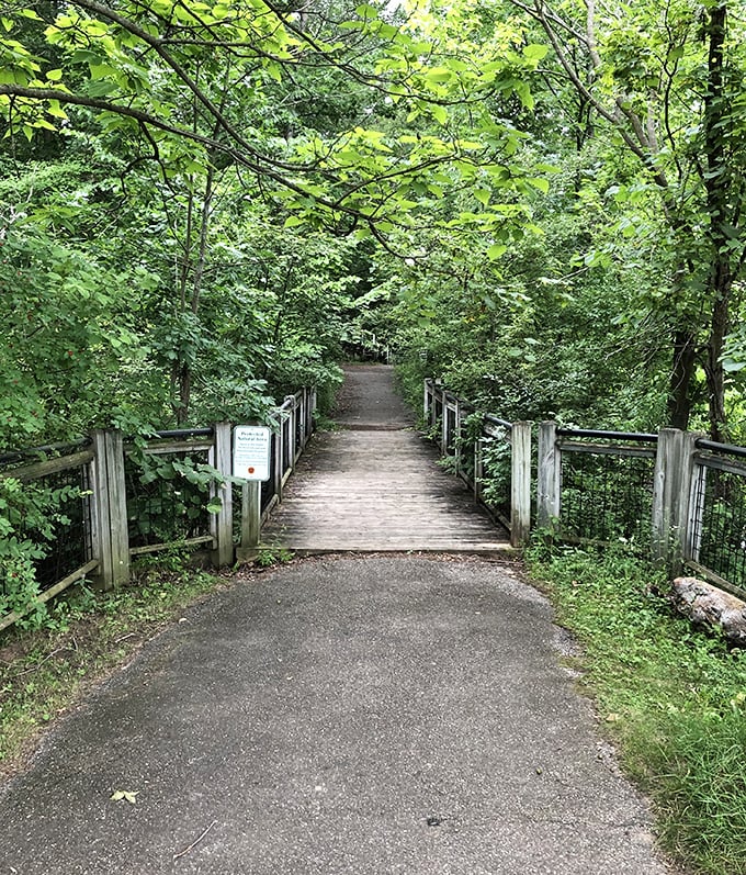 Nature's therapy session awaits on Alma's trails. This wooden bridge promises adventure without requiring a sherpa or emergency satellite phone.
