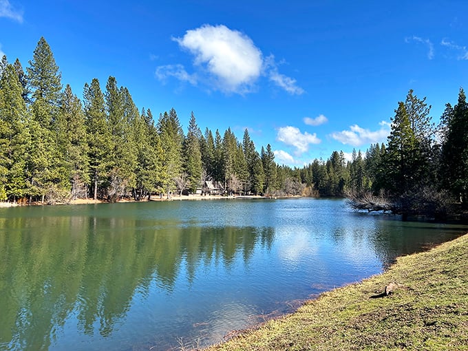 White Pines Lake reflects the surrounding forest like nature's own Instagram filter&mdash;no touchups needed when Mother Nature does the decorating.