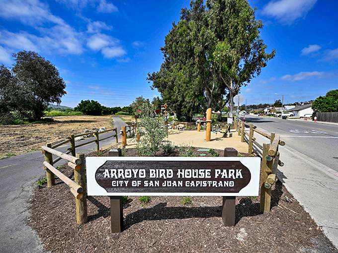 Even the birds get VIP treatment in San Juan Capistrano, with this dedicated park welcoming feathered celebrities back each spring.