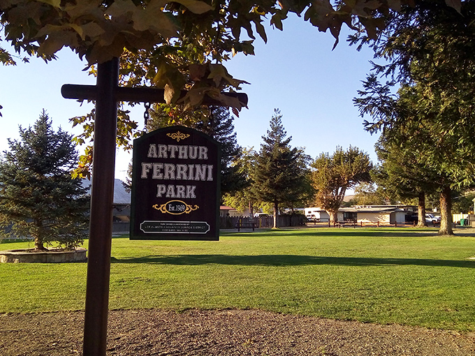 Arthur Ferrini Park stands as the town's verdant heart, where locals gather and visitors discover that sometimes, doing nothing is everything.