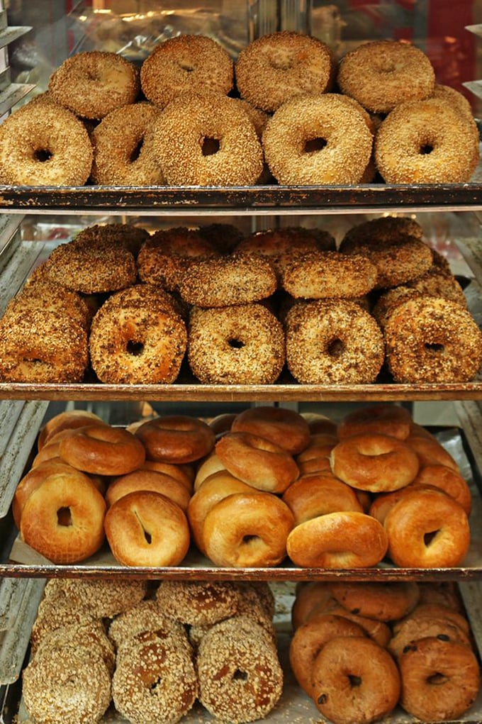 Bagel perfection in four glorious varieties. Notice how they're lined up like edible Olympic medals &ndash; each one a champion in its own right.