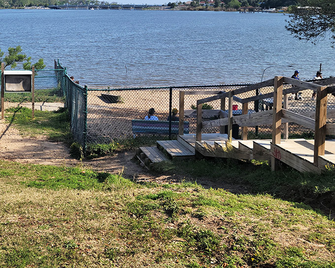 Bayview Park's shoreline offers that rare Florida beach experience where you don't need to fight for towel territory. Just you, the water, and minimal drama.