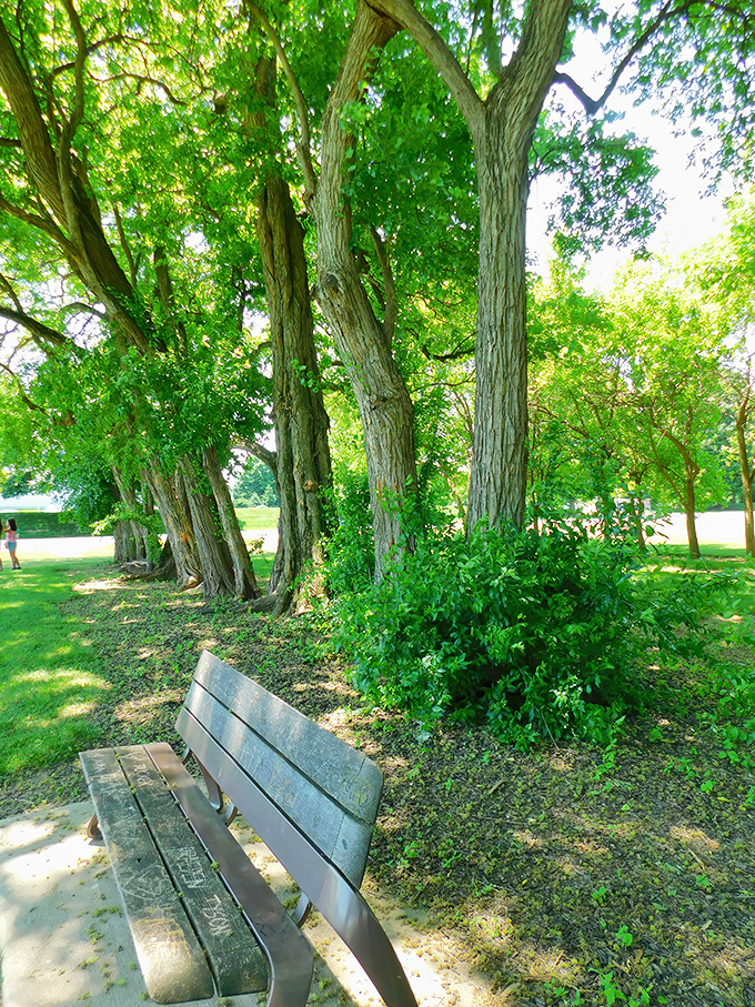 A peaceful bench nestled among the Osage orange trees offers a moment of contemplation. Nature's waiting room with a view of concrete produce. 