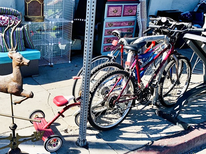 Childhood nostalgia on wheels! From tricycles to mountain bikes, your next transportation adventure might cost less than a week of parking downtown.