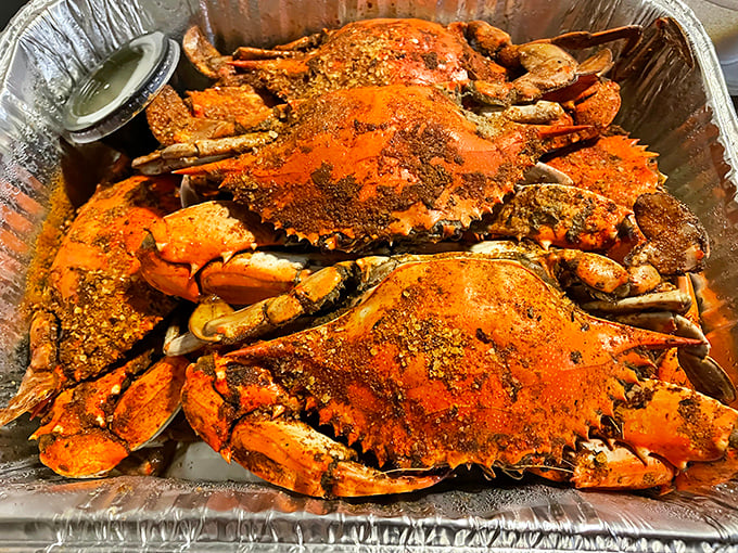 These hefty, Old Bay-dusted blue crabs aren't just seafood; they're an interactive dining experience that rewards patience with sweet, succulent meat.