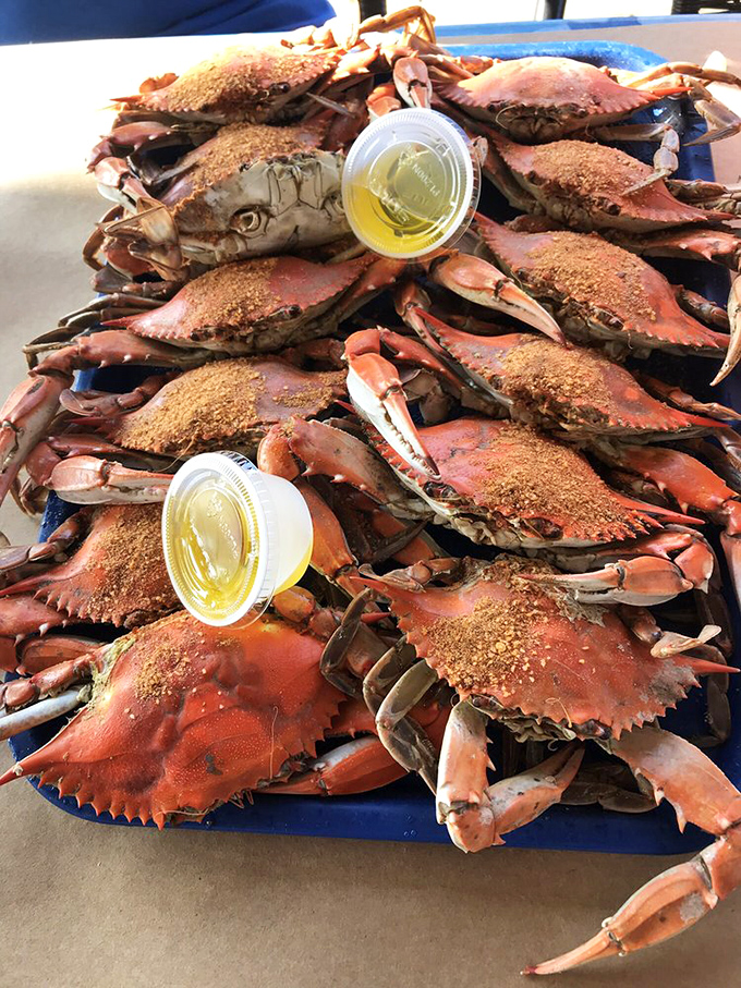 Blue crab nirvana! These Old Bay-dusted beauties aren't just food; they're a full-contact sport requiring strategy, patience, and zero shame.