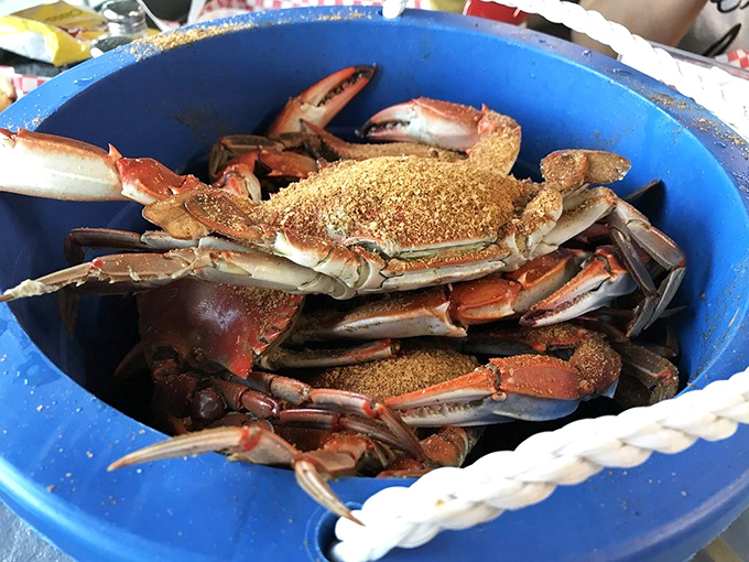 Blue crab heaven! These seasoned beauties aren't just food&mdash;they're an interactive experience that rewards patience with sweet, succulent meat.