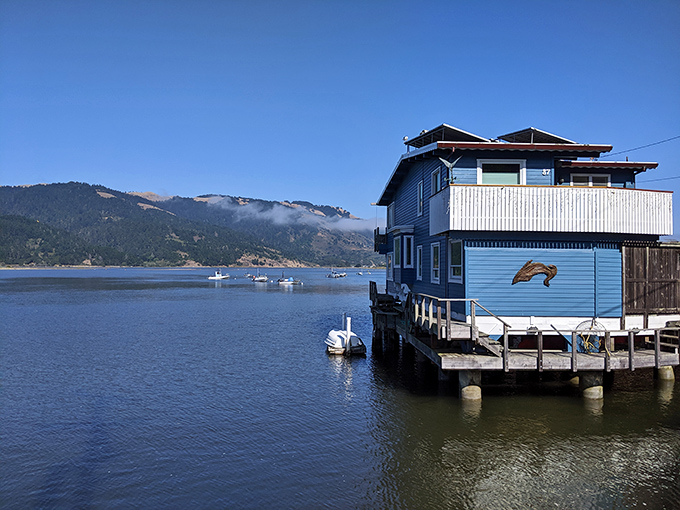 Where the water meets whimsy &ndash; a blue house with a dolphin mural perfectly captures Bolinas' laid-back maritime spirit.