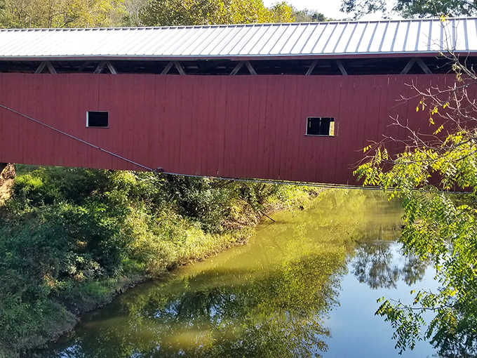 Sunfish Creek flows beneath like nature's own lazy river, minus the overpriced drinks and crowded pool decks.