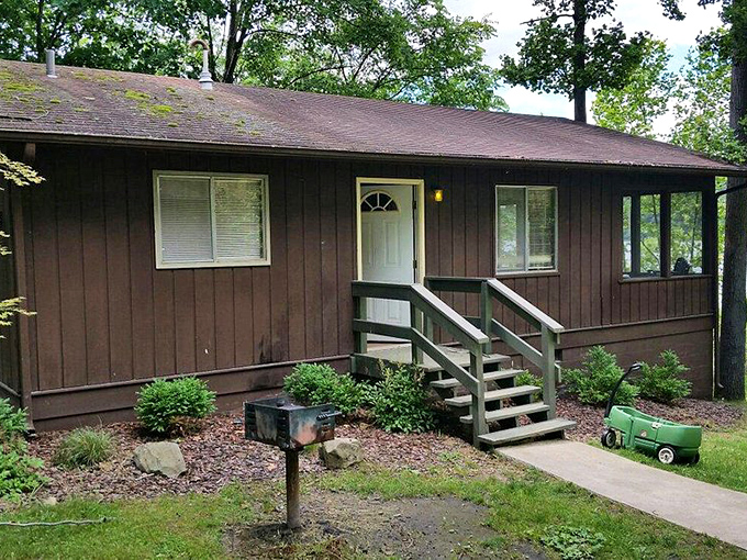 Rustic comfort meets woodland serenity. These cabins offer the perfect middle ground between roughing it and room service.
