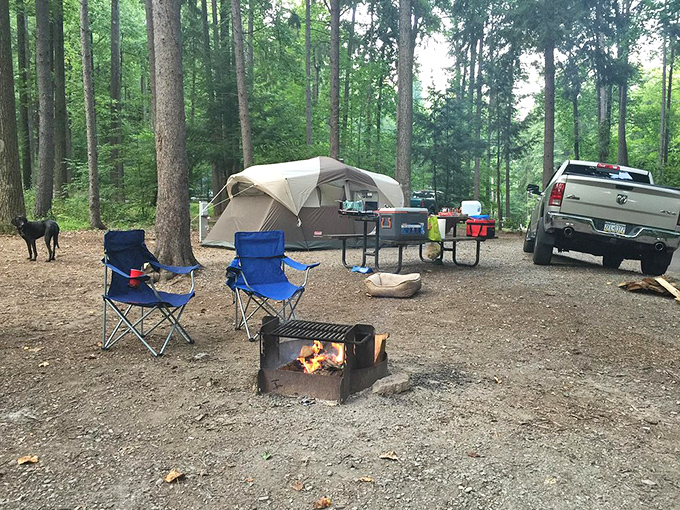 Camping simplified: fire, chairs, tent, and trees. Add marshmallows and ghost stories for the full experience that no five-star hotel can match.