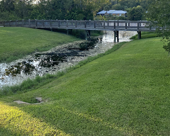 Central Park's wooden footbridge offers a moment of tranquility that costs nothing but delivers priceless peace of mind.