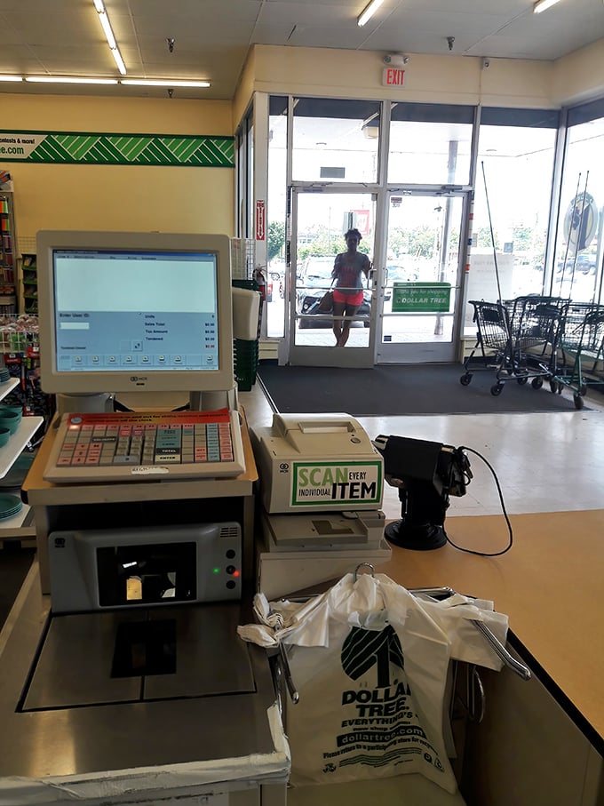 Command central where your small fortune of finds gets tallied. Notice that "SCAN EVERY ITEM" sign &ndash; no sneaky bargain bundling allowed!