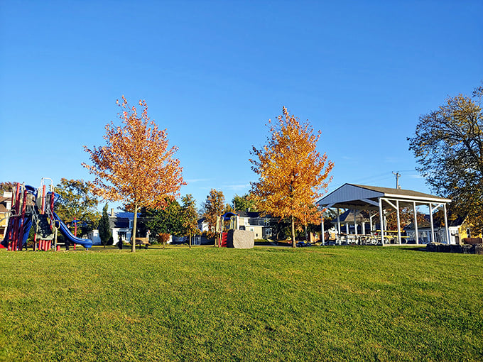 This park doesn't need fancy gimmicks&mdash;just trees showing off their autumn wardrobe, playground equipment, and space for the timeless entertainment of watching kids tire themselves out.