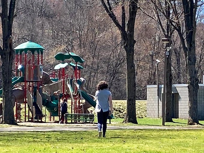 Local parks offer modern playground equipment where grandkids can burn energy while you enjoy a bench that costs nothing—unlike those $15 museum seats.