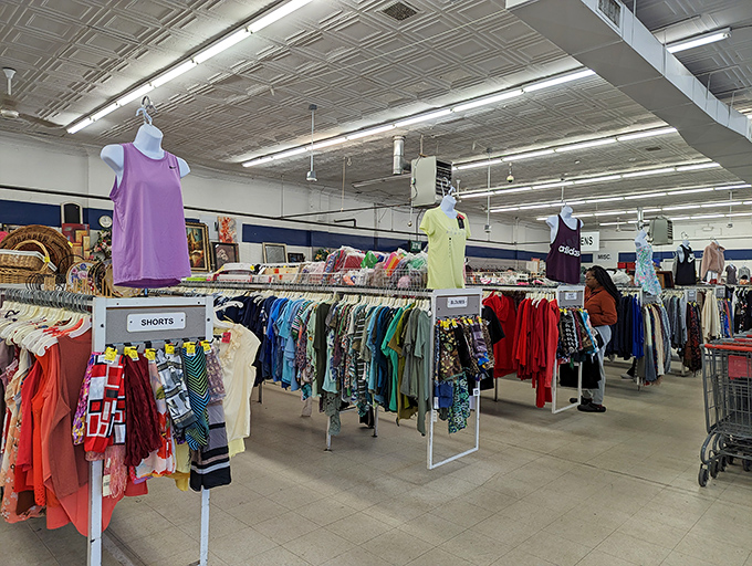 Color-coded clothing racks stretch like textile oceans, where patient shoppers can unearth everything from casual tees to forgotten designer gems.