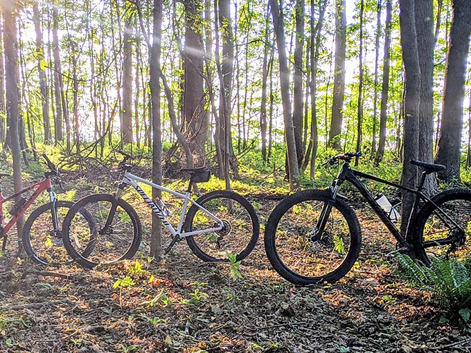 Mountain bikes resting against trees&mdash;the universal sign that their riders have found something too beautiful to pedal past. Even the most dedicated cyclists need a moment.