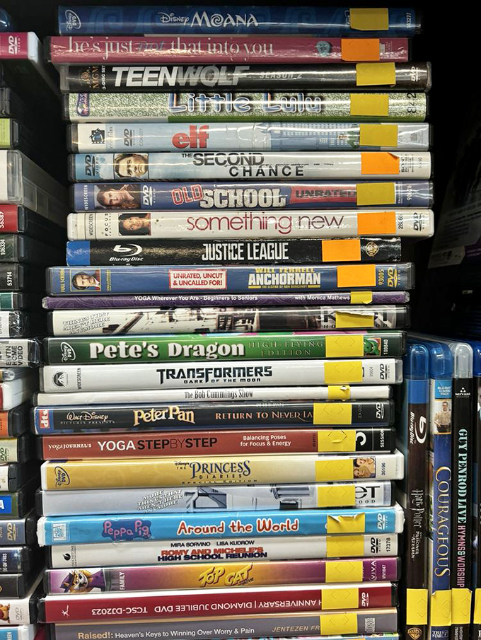 Hollywood magic at basement prices! From Moana to Anchorman, your next movie night marathon is just waiting to be discovered.