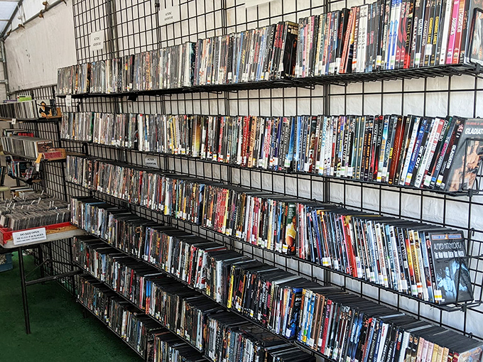 Not Netflix, not streaming, but actual physical DVDs&mdash;a nostalgic treasure trove for movie buffs who still appreciate holding their entertainment.