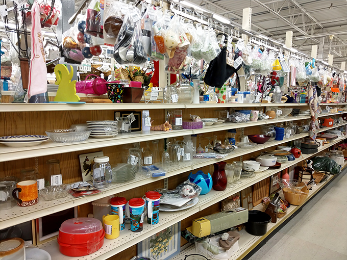 Shelves packed with kitchen nostalgia! Every plate and bowl holds the potential for both practical use and conversations about "my grandmother had these!"