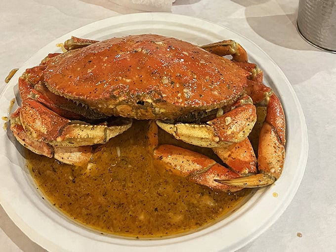Dungeness crab arrives like nature's treasure chest, demanding your full attention and finest cracking skills.