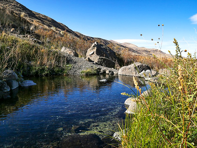 Nature's own spa day awaits at nearby hot springs. Who needs expensive treatments when Mother Nature provides the perfect soak?