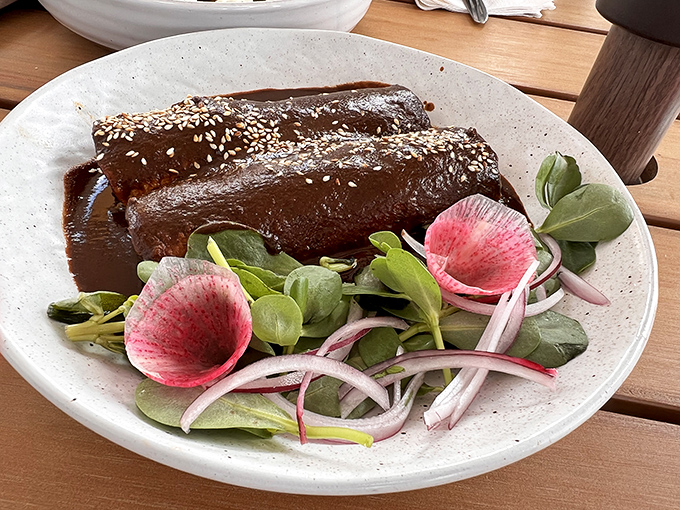 The star of the show: mole-bathed enchiladas that would make angels weep. That deep brown sauce contains more secrets than my high school diary.