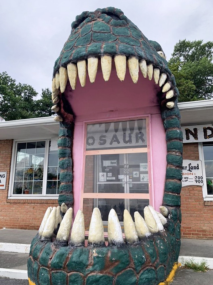 Talk about a grand entrance! Walking into the jaws of this prehistoric beast gives new meaning to the phrase "you look delicious."