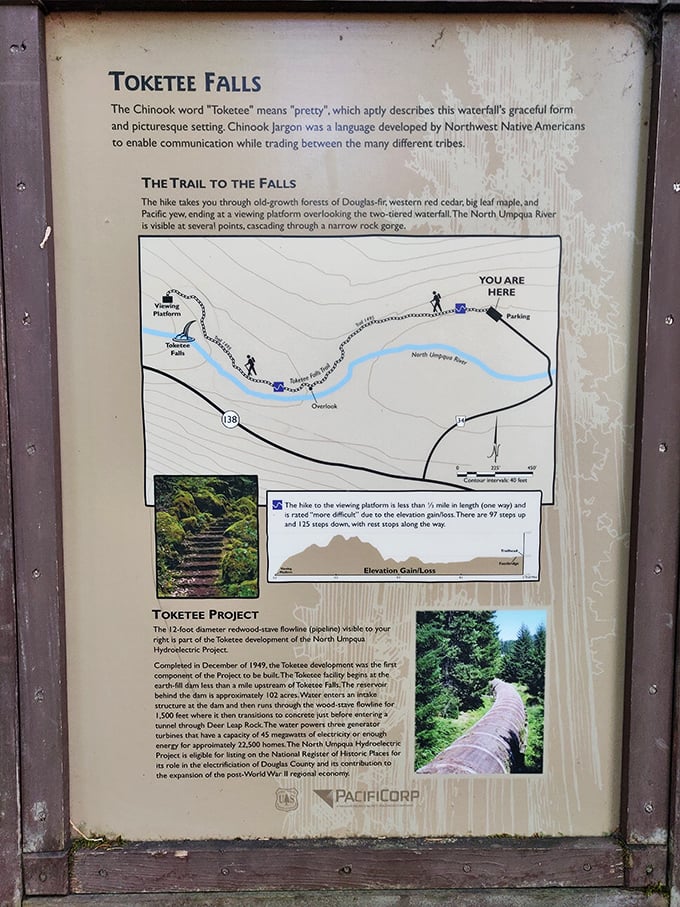A trail map that promises adventure. The Chinook word "Toketee" means "pretty," which might be the understatement of the century for this natural wonder.