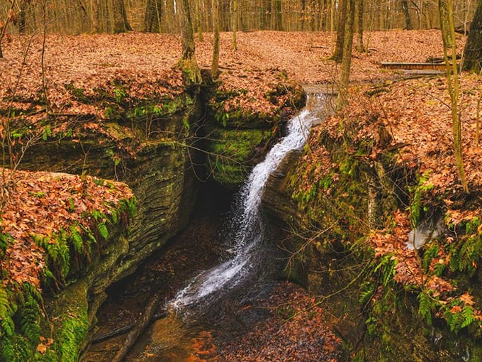 Water finds a way, carving its persistent path through resistant stone. This gentle cascade creates nature's soundtrack&mdash;a peaceful melody that drowns out life's noise.