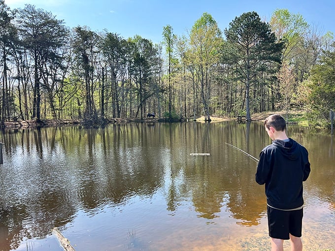 Fishing at the park's tranquil pond&mdash;where catching nothing still somehow feels more productive than answering work emails. 