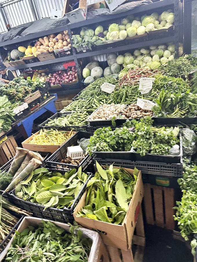 Nature's color palette on full display! These farm-fresh vegetables make supermarket produce look like it's been through witness protection.