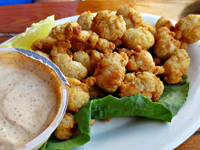 Golden nuggets of fried gator bites that even Florida skeptics will love. The dipping sauce might be worth the drive alone.
