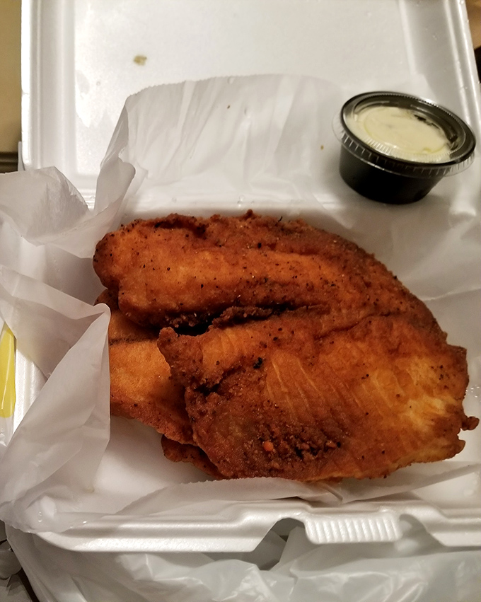 Golden-fried perfection that makes you wonder why anyone bothers with fancy cooking techniques when simple done right is simply divine.