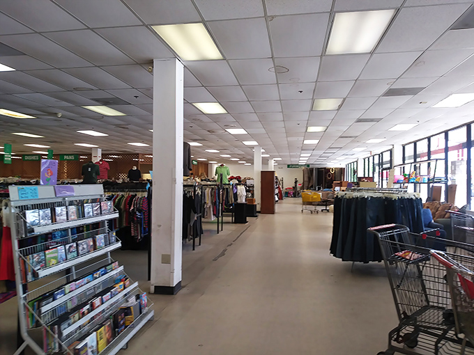 The media corner offers a nostalgic trip through entertainment history. One person's discarded DVD collection is another's weekend binge-watching goldmine.