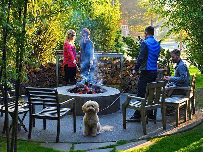 Nothing says "vacation done right" like gathering around a crackling fire pit with friends, where s'mores and stories flow freely.