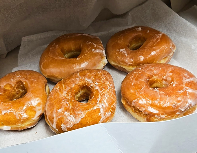 Golden halos of fried perfection. These glazed donuts aren't just breakfast &ndash; they're edible sunshine that makes Monday mornings bearable again.