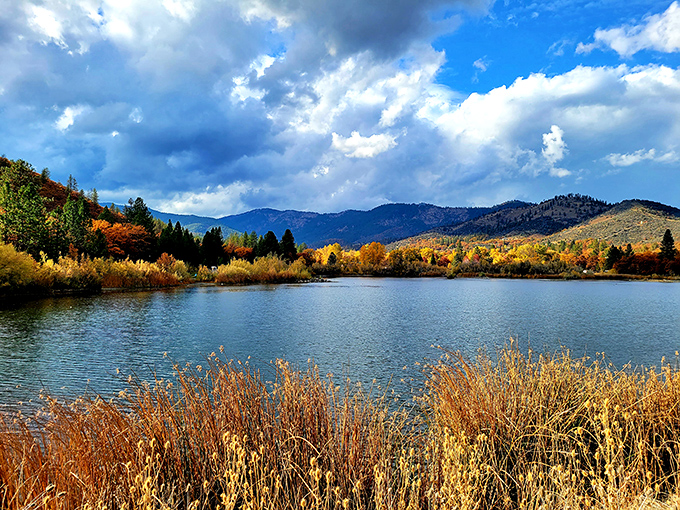 Greenhorn Park offers the kind of peaceful respite that makes you forget your smartphone exists entirely.