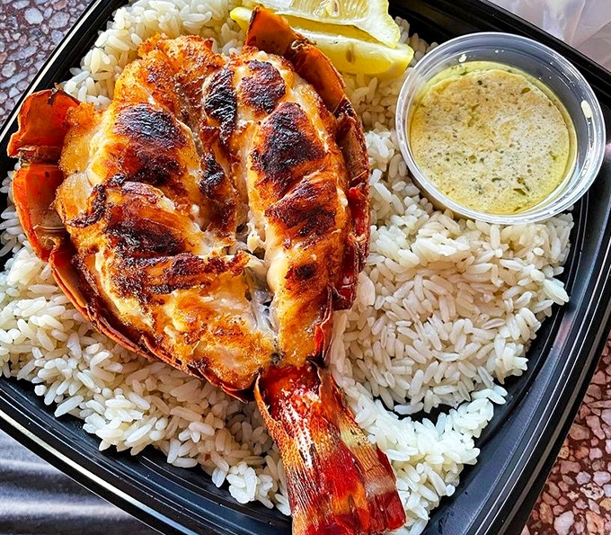 Neptune's own lunch box! This perfectly charbroiled lobster tail resting on a bed of rice is what seafood fantasies are made of.