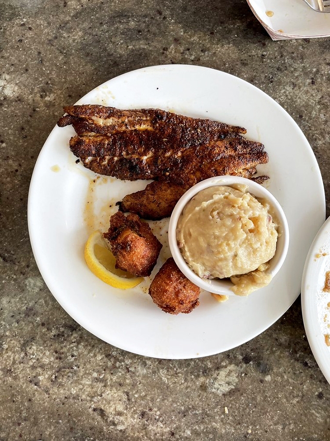 Blackened perfection meets comfort food &ndash; this fish filet wears its seasoning like a badge of honor alongside creamy mashed potatoes.