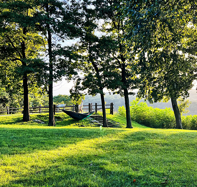 Relaxation elevated to an art form. Nothing says "I've conquered nature" quite like stringing up a hammock with a million-dollar view as your backdrop.