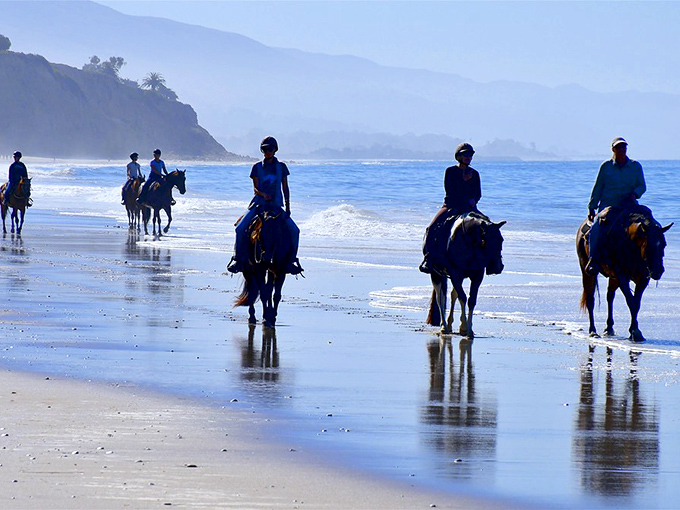 Nothing says "I've escaped reality" quite like horseback riding along the shoreline, where hoofprints and ocean waves create nature's perfect soundtrack.