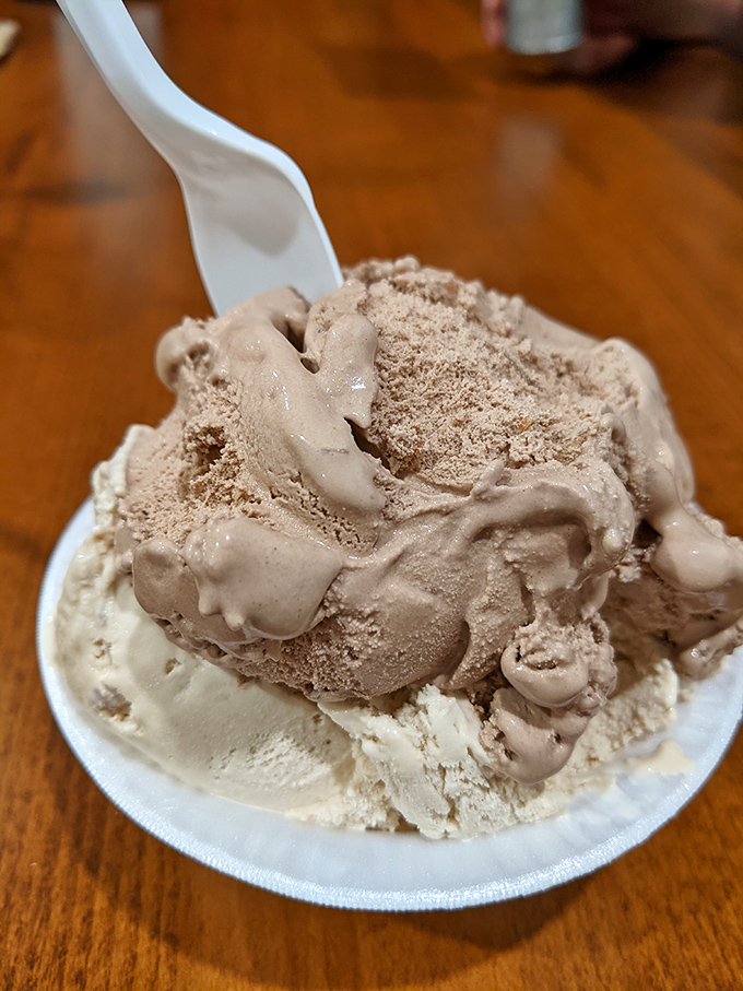 Two scoops in perfect harmony &ndash; vanilla's subtle elegance supporting chocolate's rich decadence, like the dairy version of a perfect marriage.