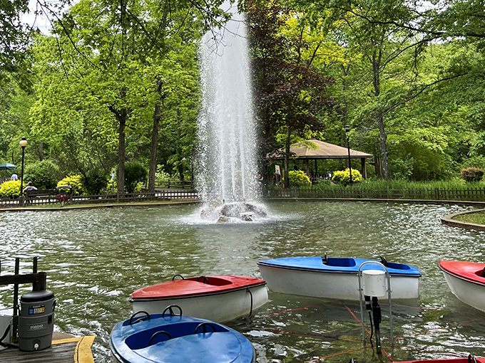 Idlewild Park's fountain creates a serene backdrop for paddle boats, where families create memories that outlast the inevitable "are we there yet?" car ride.