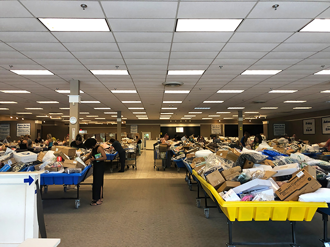Treasure hunting goes industrial-scale with these massive blue bins. It's like a garage sale crossed with an archaeological dig, minus the dirt.