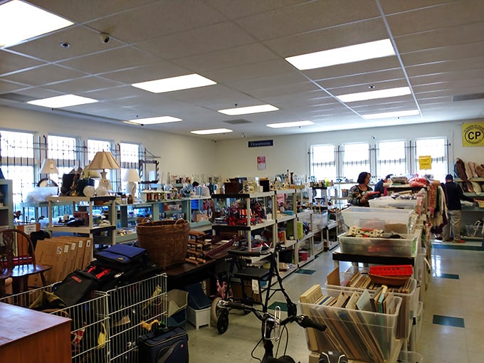 Organized chaos at its finest &ndash; shelves upon shelves of potential treasures await the patient explorer willing to dig for gold.