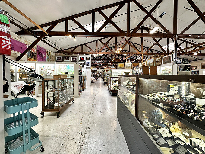 Glass cases protect delicate finds while wooden shelves showcase books spanning generations of stories.