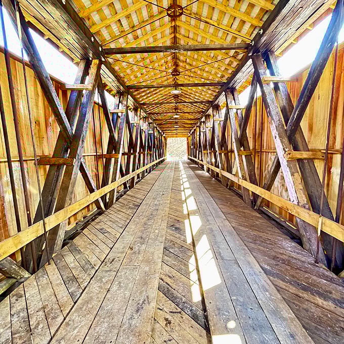 Sunlight plays hide-and-seek between wooden beams, creating a mesmerizing tunnel effect that's part cathedral, part time machine.
