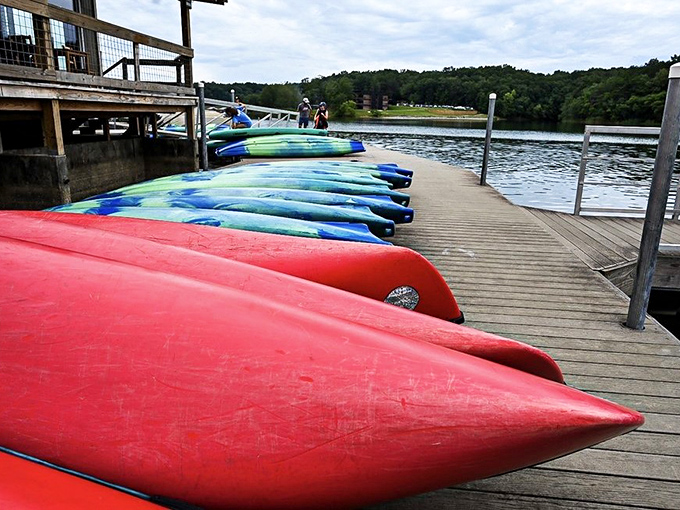 Kayak lineup that screams "summer adventure awaits!" These colorful vessels are your tickets to explore Fall Creek Falls Lake without getting your hiking boots wet.
