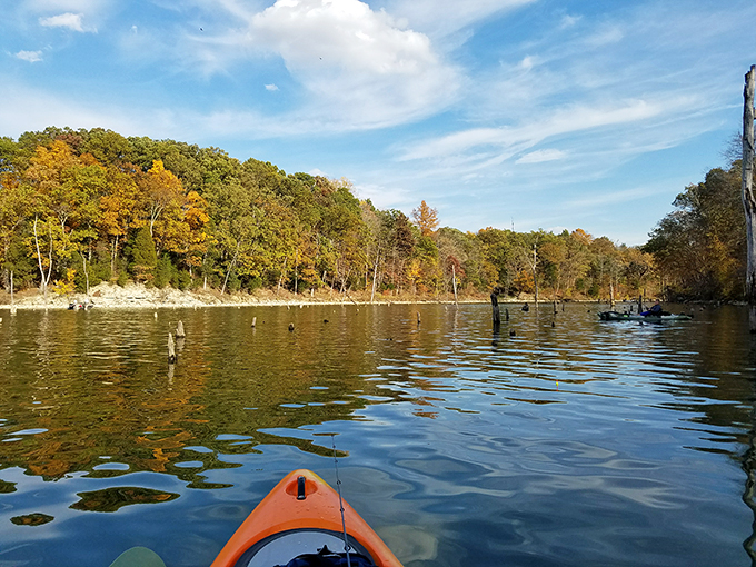 Autumn's golden touch transforms kayaking into a journey through liquid amber. The perfect vantage point for leaf-peeping without the hiking blisters.
